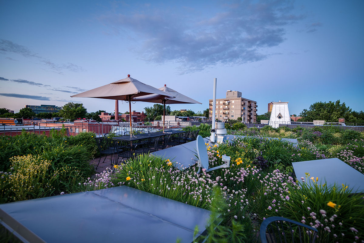 Bâtiment durable : trois exemples inspirants à Montréal - Histoire de s ...