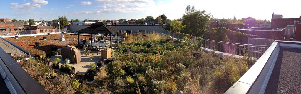 Bâtiment durable : trois exemples inspirants à Montréal - Histoire de s ...